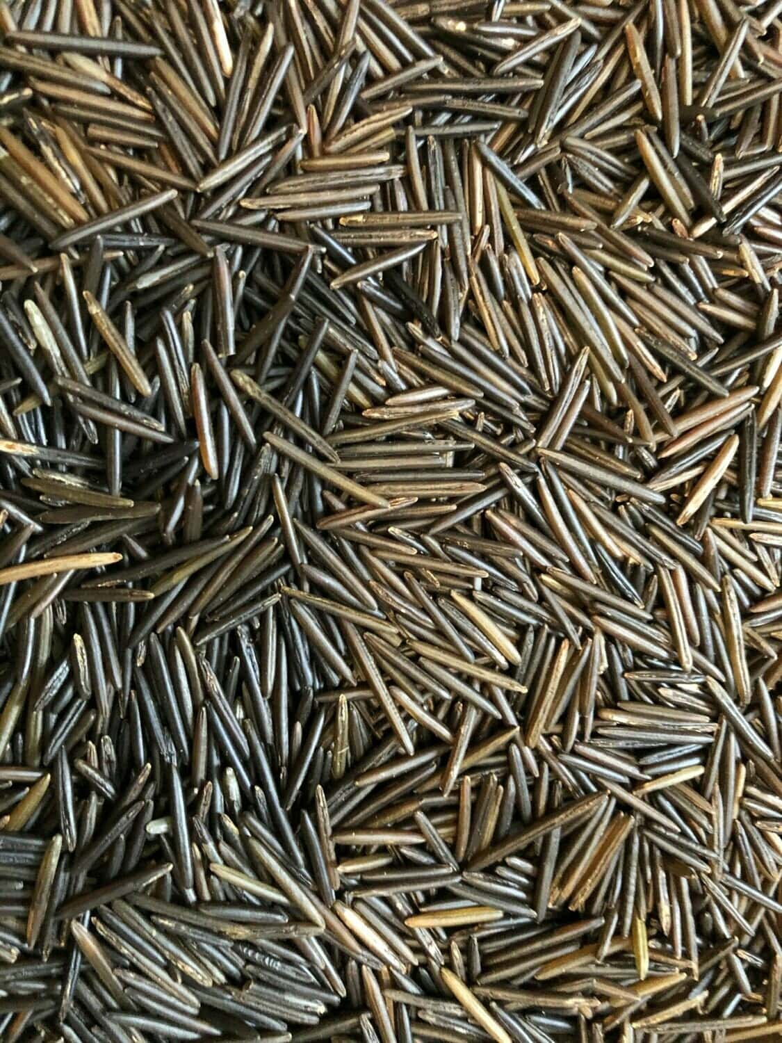 Canadian Pure Wild Rice long grain bulk | Foraged North